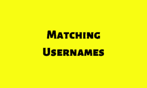 340+ Matching Usernames Ideas [For Couples, Best Friends]