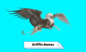 TeamGroupNames - Best Collection Of Group And Team Names