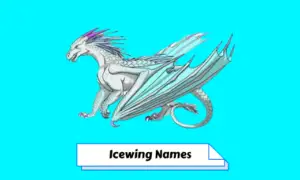 TeamGroupNames - Best Collection Of Group And Team Names