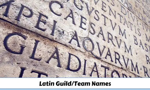 255+ Latin Guild/Team Names and Group Names