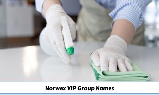 224+ Norwex VIP Group Names That Shine Like a Star