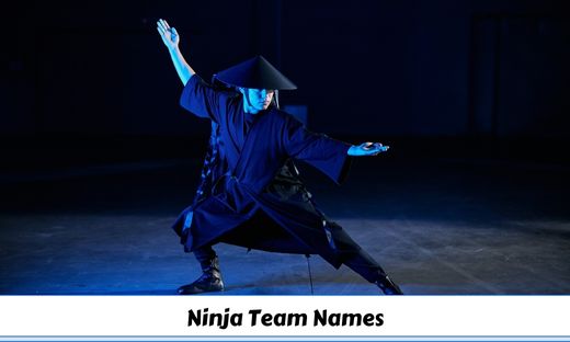 320+ Ninja Team Names For Your Clan