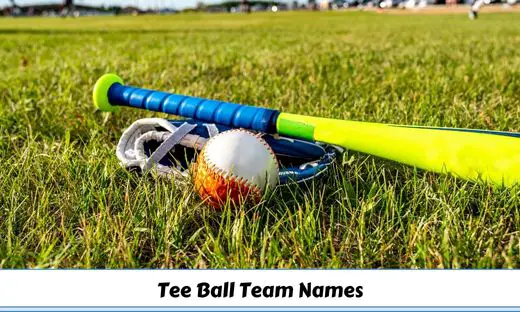 266+ Tee Ball Team Names to Make a Statement