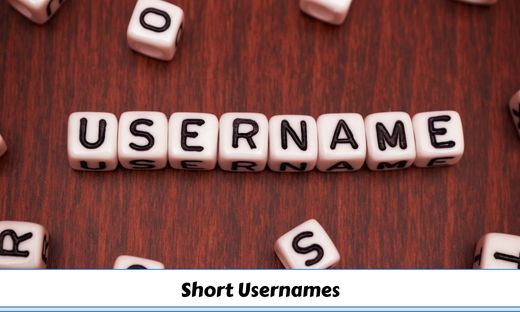 650+ Short Usernames (From Cute to Cool Ideas You'll Love)
