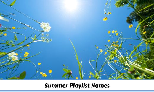 650+ Summer Playlist Names That Tell Your Story