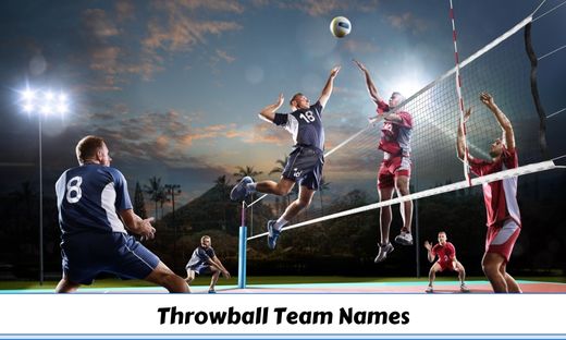 450+ Throwball Team Names That Stand Out on the Court