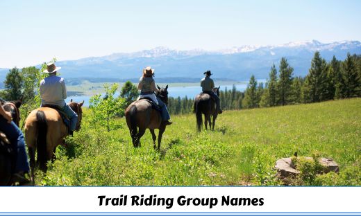 250+ Trail Riding Group Names (Best and Cool)