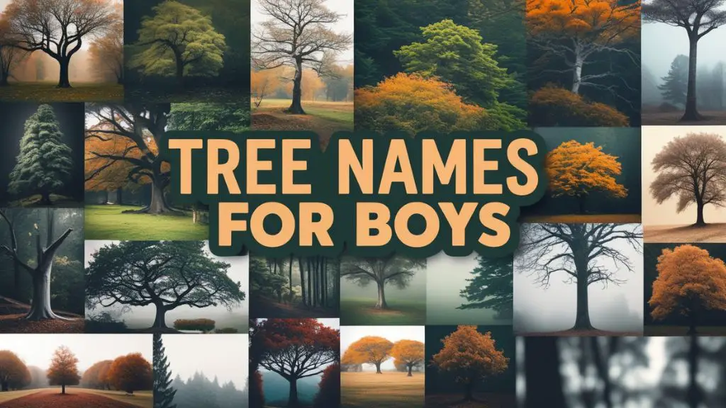360+ Tree Names for Boys (Strong, Unique, and Cool Names with Deep Roots)