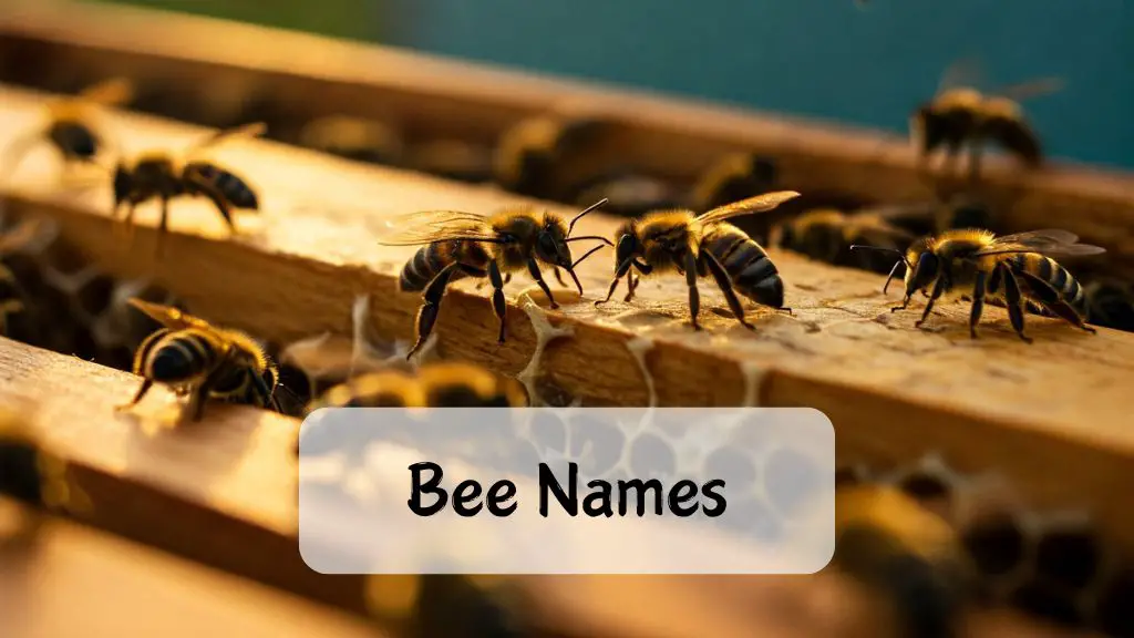 450+ Bee Names (Adorable, Creative & Unique Ideas)