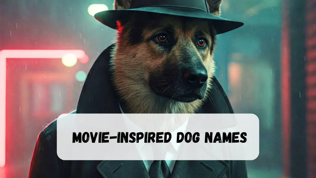 460+ Movie-Inspired Dog Names for Your Furry Star