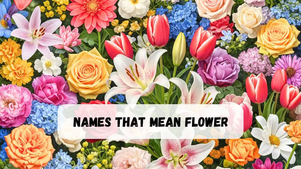 300+ Names That Mean Flower with Cultural Origins and Symbolism