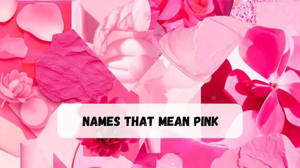 350+ Names That Mean Pink for Your Little One