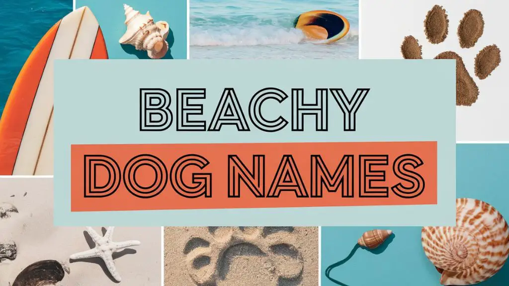 300+ Beachy Dog Names That Capture the Perfect Coastal Vibe for Your Pup
