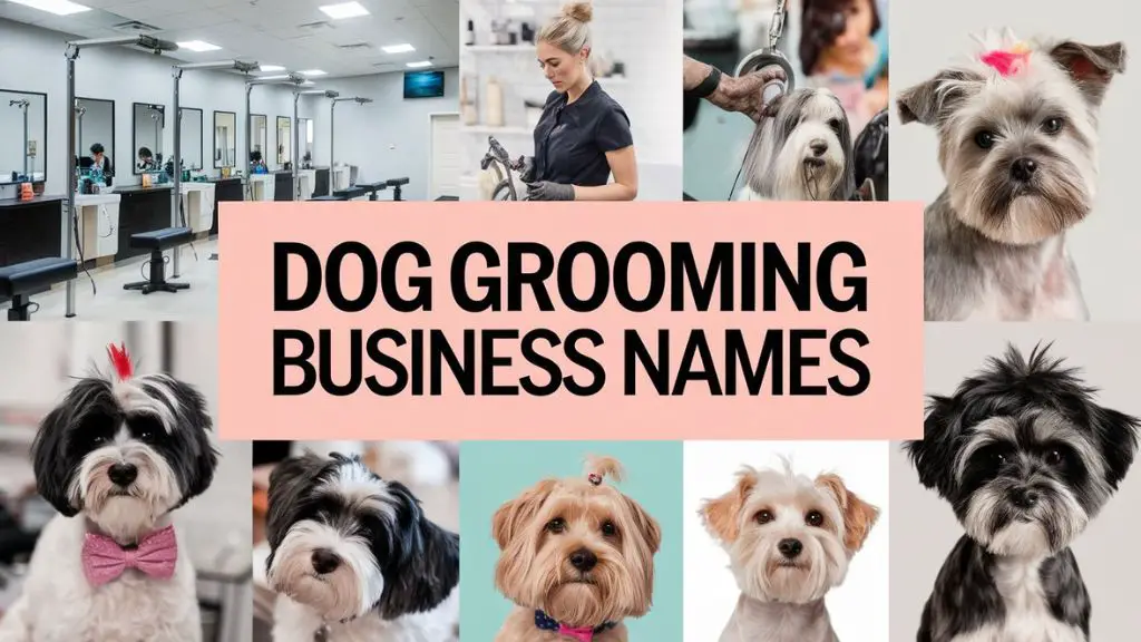 300+ Dog Grooming Business Names That Actually Work (From Punny to ...