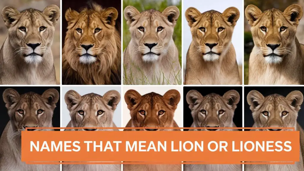 200+ Names That Mean Lion or Lioness (That Roar with Strength and Power)