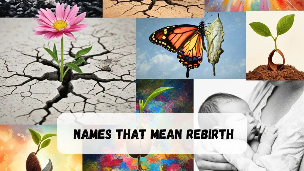 375+ Names That Mean Rebirth for Your Little Miracle