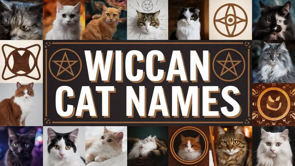 270+ Wiccan Cat Names (Magical & Mystical Names for Your Feline Familiar)