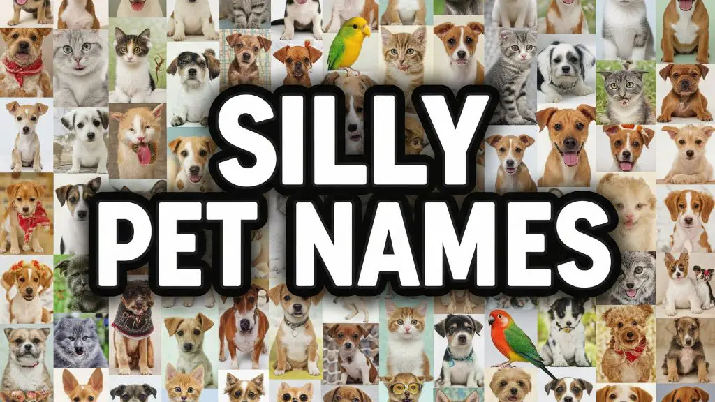 300+ Silly Pet Names (Funny, Creative, and Adorable Options)