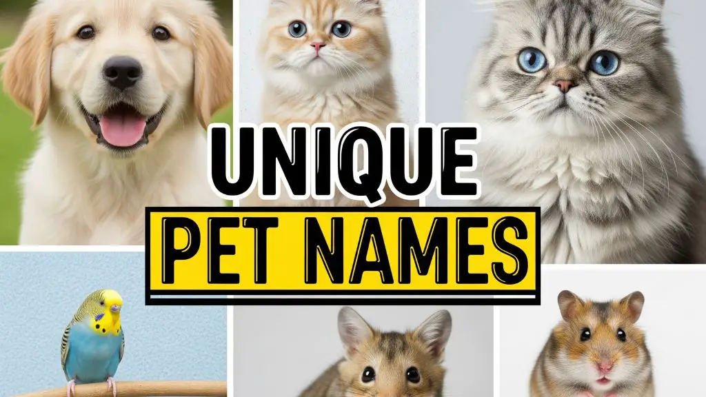 300+ Unique Pet Names (Including Meanings & Origins)