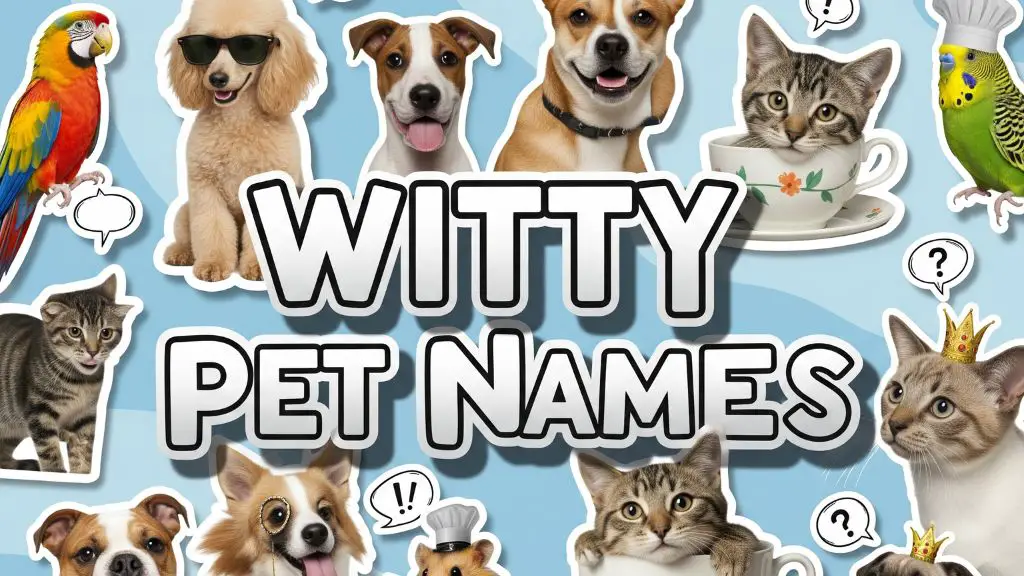 300+ Witty Pet Names (Funny, Clever, and Memorable Options for Every Pet)