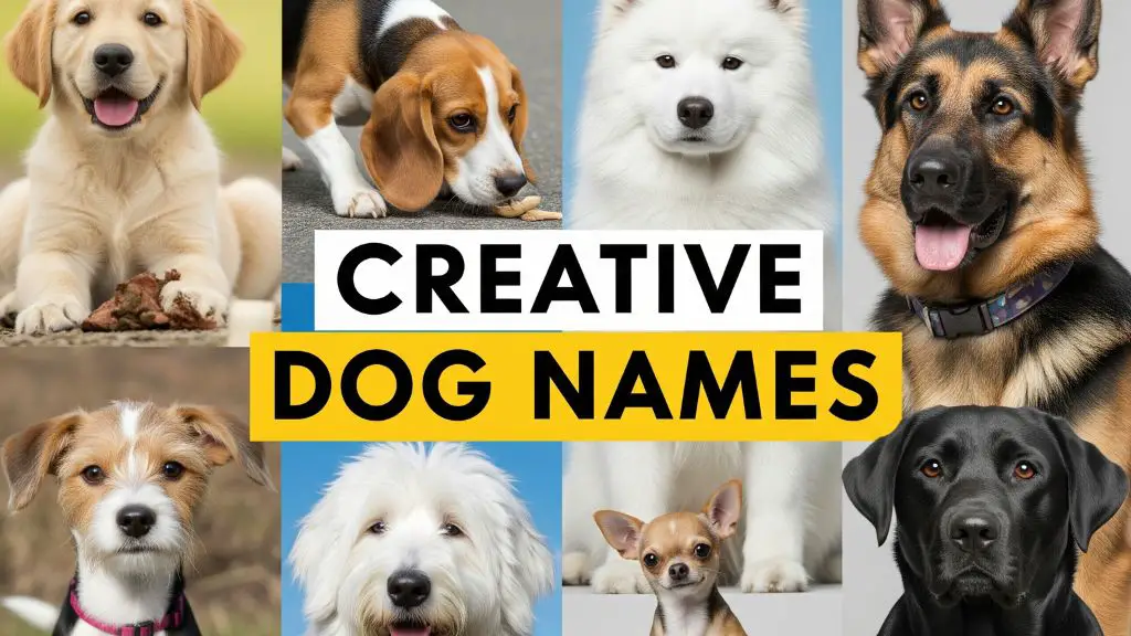 300+ Creative Dog Names (Unique and Memorable Options)