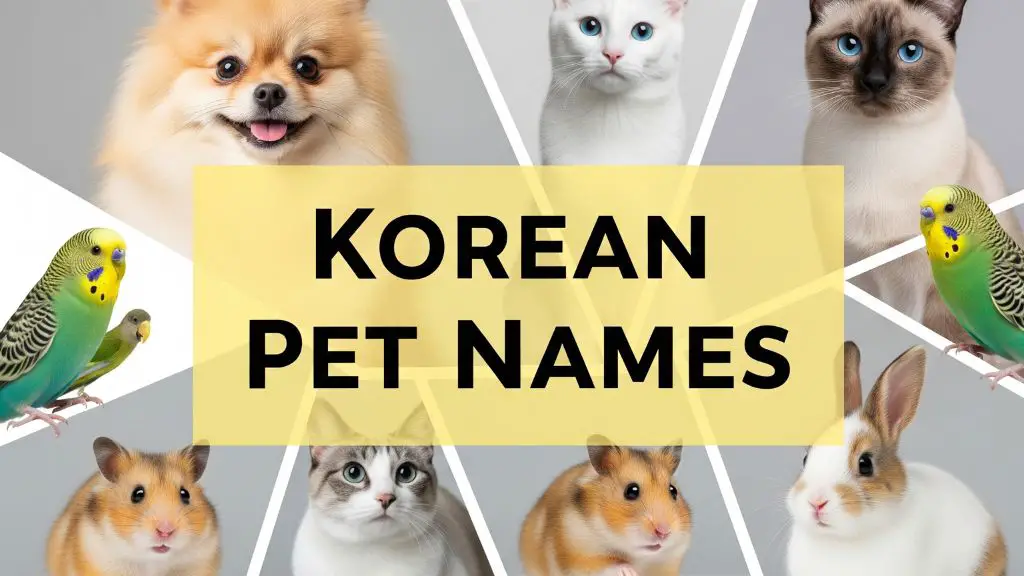 300+ Korean Pet Names (with Deep Cultural Meanings)