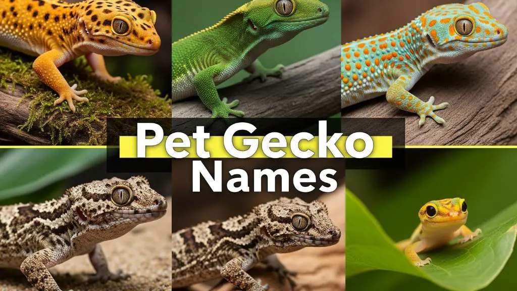 300+ Pet Gecko Names (by Species and Personality)