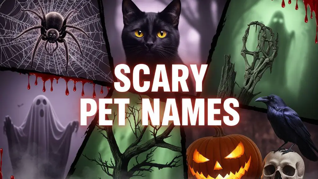 300+ Scary Pet Names (Spooky, Gothic & Dark Names)